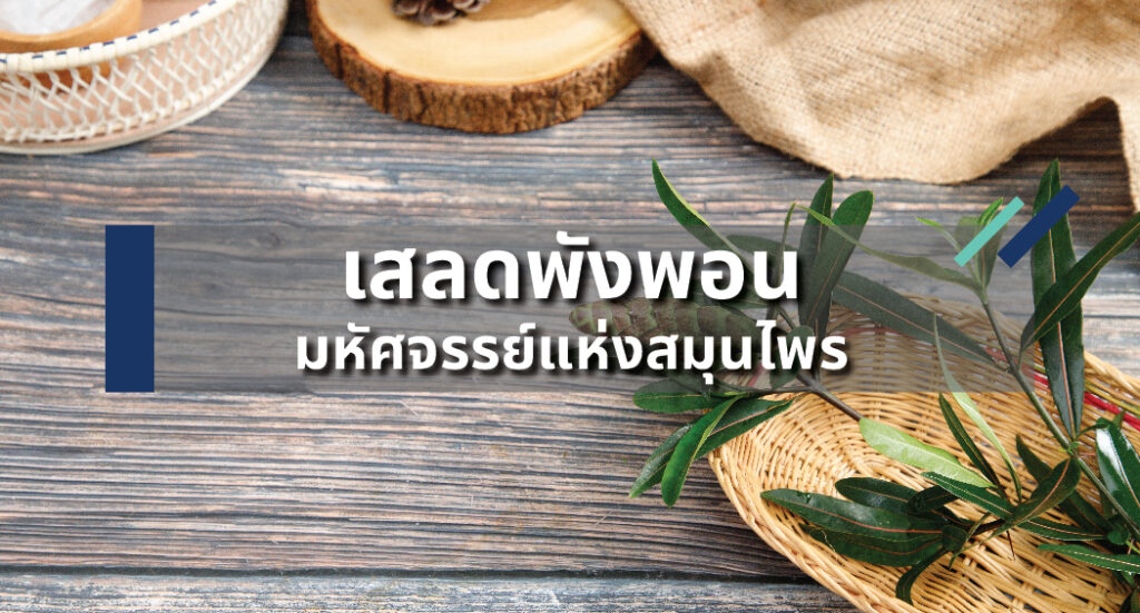 Novolife – Benefit from "Nature" , "Quality" sent you.